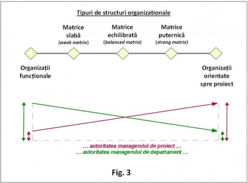 Rolul managerului de proiect în organizaţiile funcţionale